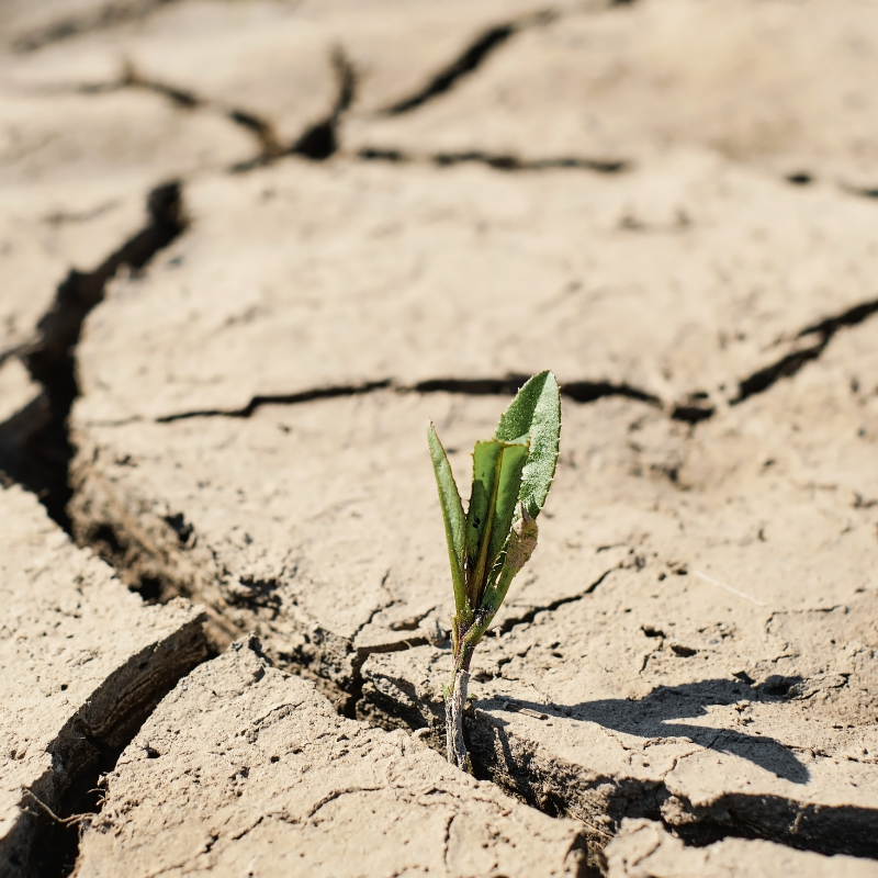 Drought Tightens Grip on the Mediterranean