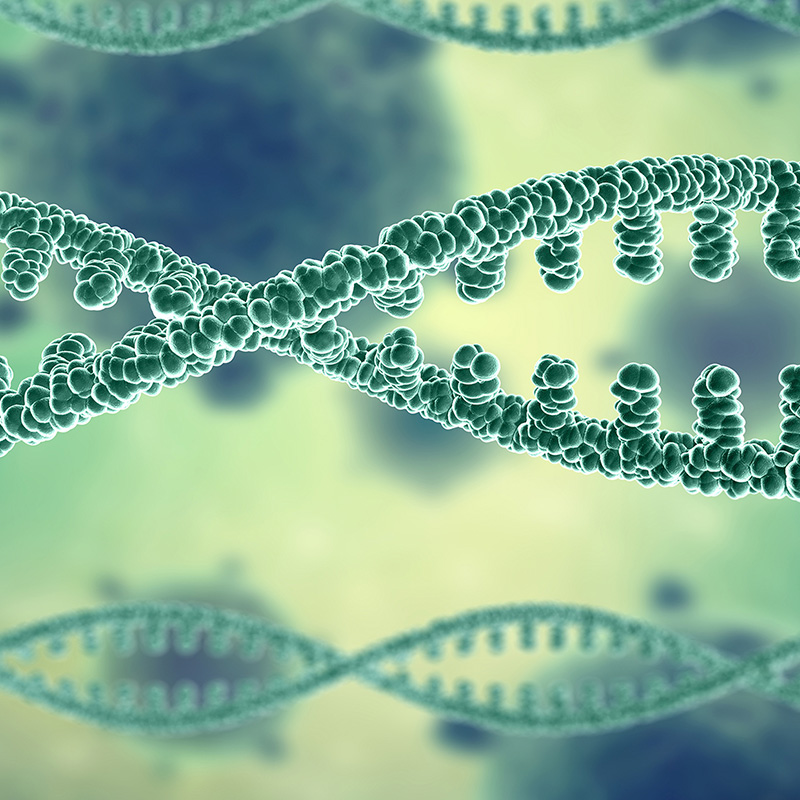 Potato Genome Breakthrough: Scientists Pursue Resilient and Nutri